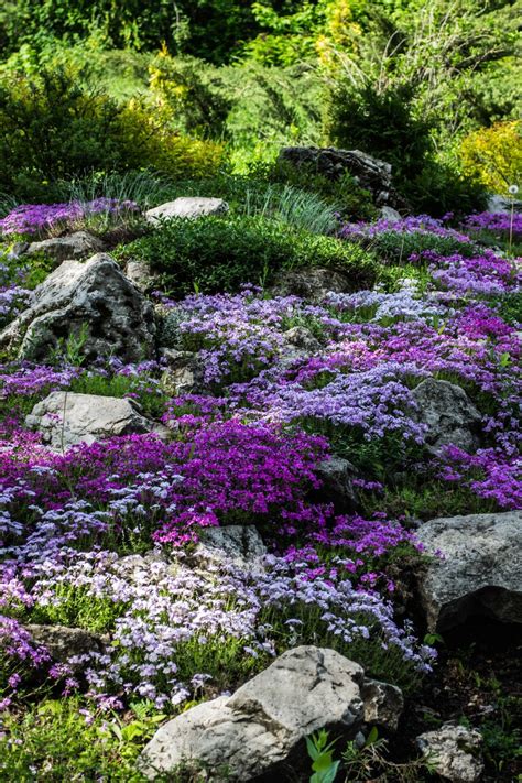 15 Amazing Rock Garden Design Ideas Artofit