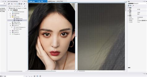 Winform（8常用控件1）