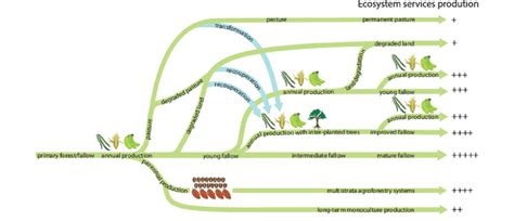 Land Use Diversity In San Martín With Six Categories Of Agricultural