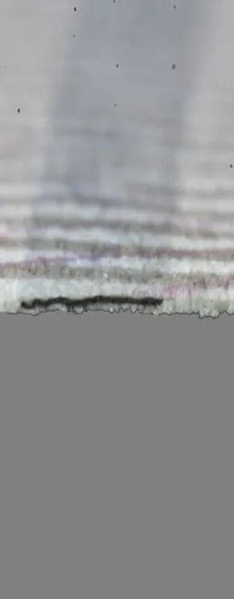 What Is Security Thread Document Glossary