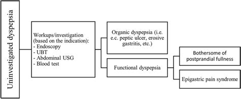 Algorithm For The Diagnosis Of Uninvestigated Dyspepsia Download