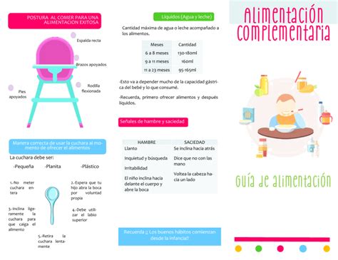 Alimentacion Complementaria Guia De Alimentacion
