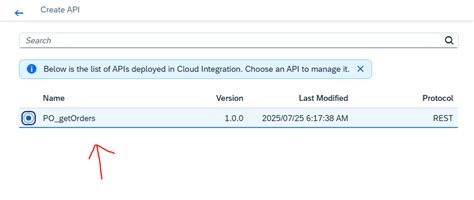 Sap Cpi Apim Api Management Apikey Policy