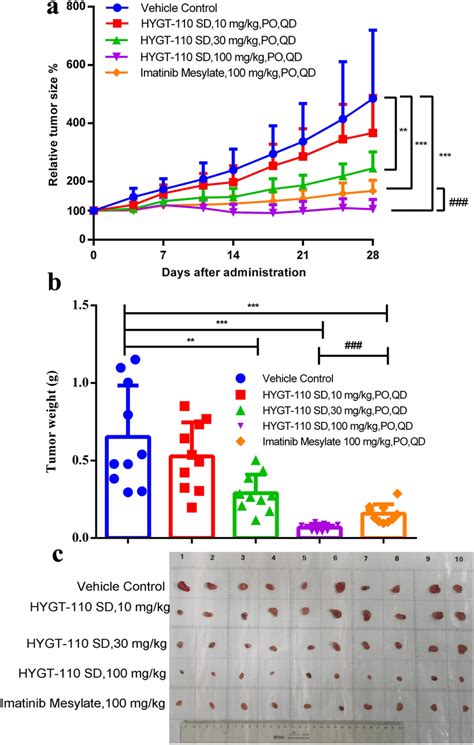 In Vivo Antitumor Efficacy Of Hygt 110 Sd In Gist 882 Xenograft Mouse Download Scientific