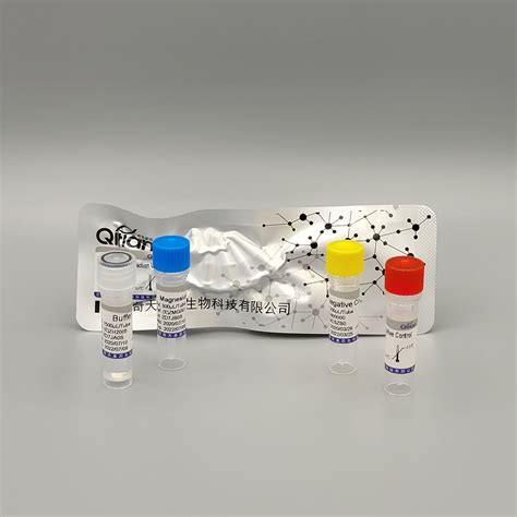 Raa Lateral Flow Strip Detection Of Nucleic Acids