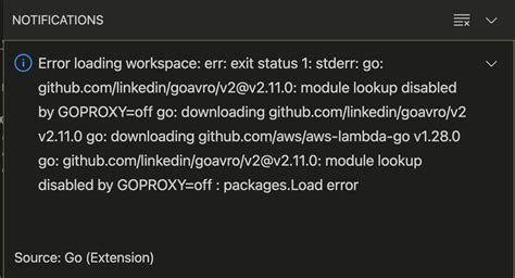 Visual Studio Code Module Lookup Disabled By GOPROXY Off But Go Env Shows GOPROXY Is Set