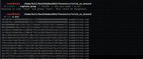 Hack The Boo 2022 Ctf题目writeupsctfdns外带流量 Csdn博客 Hack The Boo 2022 Ctf题目writeupsctfdns外带流量 Csdn博客