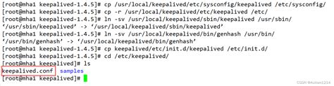 Keepalived与mysql搭建vip漂移 Csdn博客