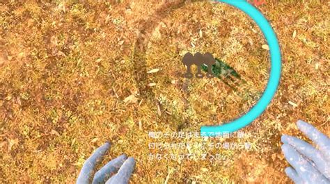 Forbidden Ninja Scroll Kunoichi Training On Steam