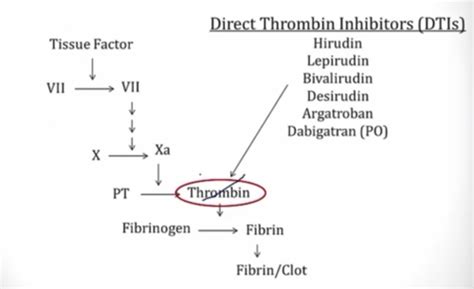 Direct Thrombin Inhibitors Bivalirudin Dabigatran Argatroban