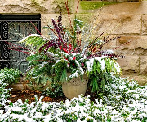 Get Reese Witherspoons Rainbow Holiday Look Gardening Know How