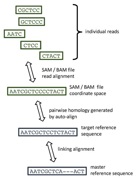 interpreting viral deep sequencing data with glue