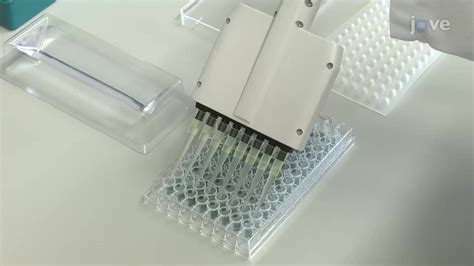 비디오 발색 고분자 하이드로겔 기반 효소 스크리닝 분석 합성 기질을 사용하여 탄수화물 활성 효소를 스크리닝하는 고처리량 방법 실험