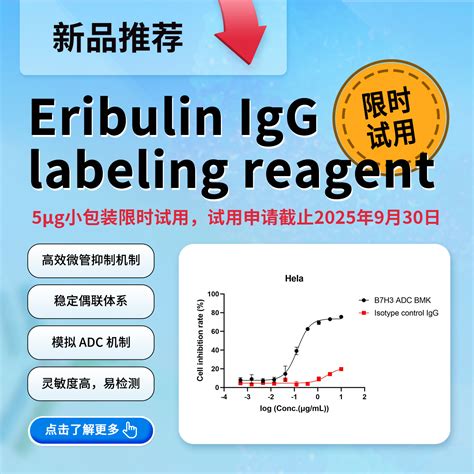 全长膜蛋白解决方案：synthetic Nanodisc 专注肿瘤免疫