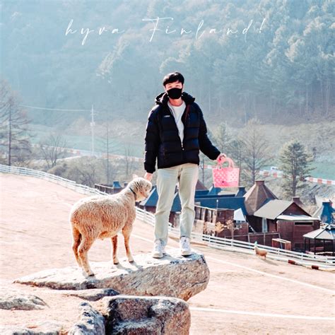 겨울 강원도 여행 아이와 가볼만한곳 홍천 알파카월드 휘바핀란드 네이버 블로그