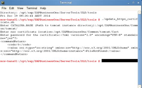 Solved Sap Hana 9 1 Pl 3 Certificate Issues Sap Community