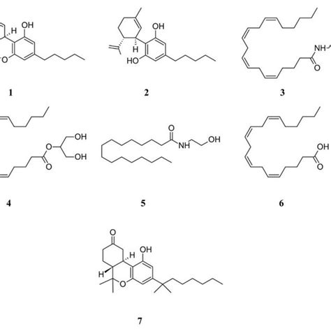 Structure Formulae Of Some Gabapentinoids Numbers Correspond To