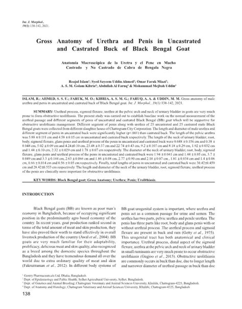 Gross Anatomy Of Urethra And Penis In Uncastrated And Castrated Buck Of