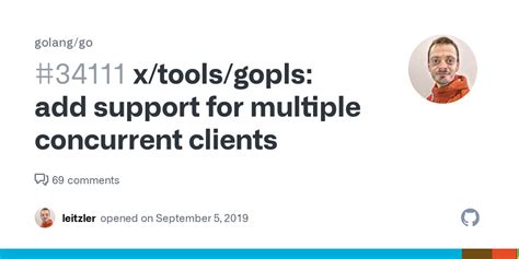 Xtoolsgopls Add Support For Multiple Concurrent Clients · Issue 34111 · Golanggo · Github