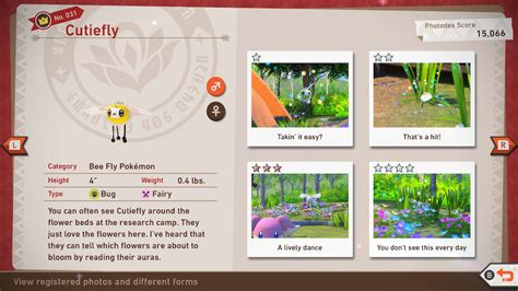 Cutiefly Photodex New Pokémon Snap Wiki Grindosaur