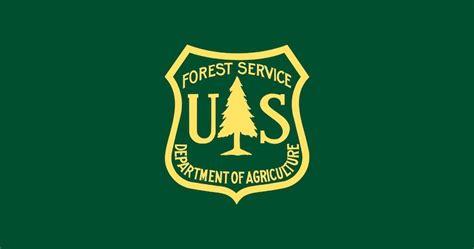 Premium Vector Flag Of The Forest Service United States Vector Image