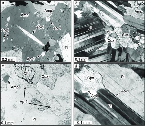 Parageneses Of Apatite And Silicate Minerals In The Unaltered Download Scientific Diagram
