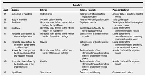 Table 3 From Neck Dissection Classification Update Revisions Proposed By The American Head And