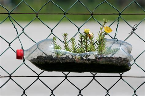Cara Membuat Pot Bunga Dari Botol Bekas