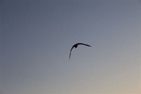 Minimization Of Problems Evolution Counseling