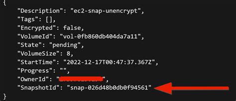 Ebs Volume Encryption With Aws Cli Using Aws Managed Key Dev Community