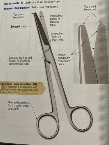 Cis Hspa Flashcards Quizlet
