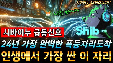 시바이누 코인 24년 다시오지않을 시바이누 최고타점 도달 시바이누13원 가즈아시바이누코인 체인링크 비트코인 리플 Youtube