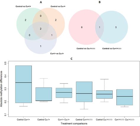 Overview Of Different Methylation Patterns Found Across Experimental Download Scientific
