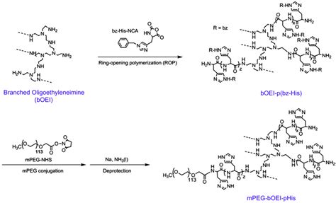 Polymers Free Full Text Strategies To Fabricate Polypeptide Based