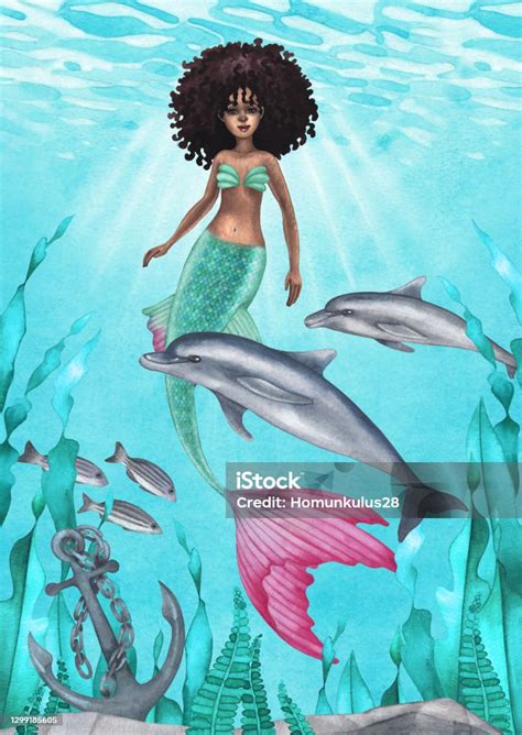 돌고래 들 사이 바다 표면에서 수영 하는 수채화 아프리카 인어 0명에 대한 스톡 벡터 아트 및 기타 이미지 0명 가공의 인물 갈색 머리 Istock
