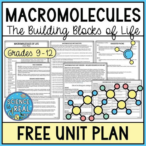 Engaging Macromolecules Lessons For High School Biology Science Is