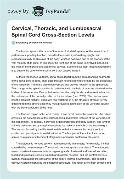 Cervical And Other Spinal Cord Cross Section Levels 575 Words