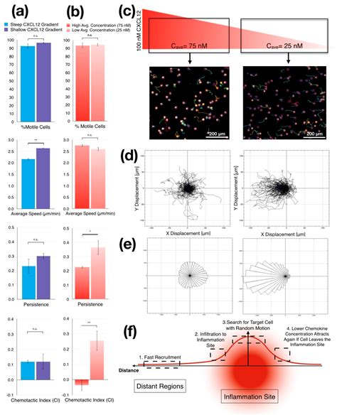 Chemotactic Responses Of Jurkat Cells In Microfluidic Flow Free