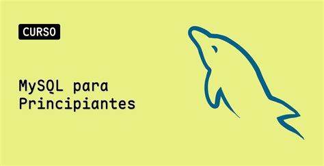 tutorial de creación de bases de datos mysql guía práctica para principiantes labex