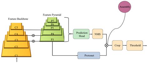 improved yolov8 seg network for instance segmentation of healthy and