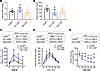 JCI Endothelial Cell CD Optimizes Tissue Fatty Acid Uptake