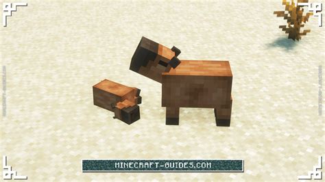 Minecraft Promenade Mod Fabric 119 → 120 Minecraft Guides Wiki