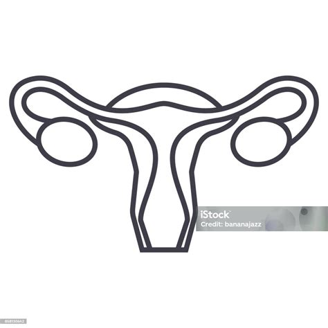 자 궁 여성 산부인과 벡터 라인 아이콘 기호 그림 배경 편집 가능한 선 난소에 대한 스톡 벡터 아트 및 기타 이미지 난소