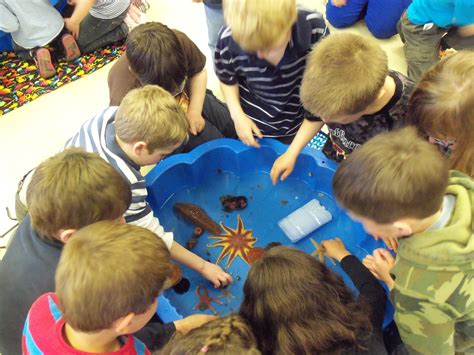 Huntsman Marine Science Centre M Gerald Teed Memorial School