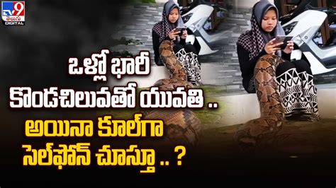 python crawling on woman s lap video viral tv9telugudigital youtube