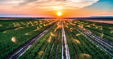 Efficient Irrigation Optimising Water Usage In Irrigation Is The Need