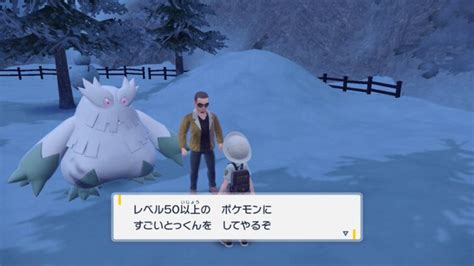 【革命】ポケモンsv、『王冠』がレベル50以上に引き下げられる 「育て屋」もついに廃止 │ 【気ままに】ポケモンの巣窟