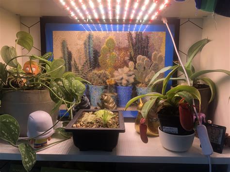 sad pings is poor light the most likely issue details in comments