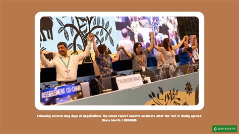 来自 57 个国家的科学家齐心协力，打破气候和生物多样性决策中的各自为政 Sigma Earth