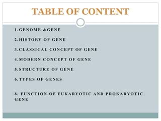The Structure Function Of Genes PPTX